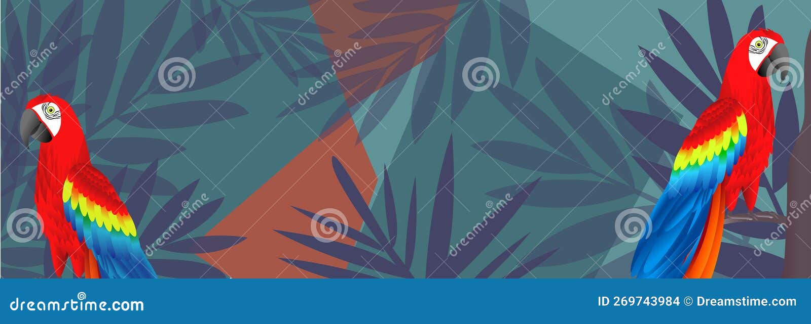 Beautiful Amazon Girls Collection, Female Ancient Warriors Characters ...