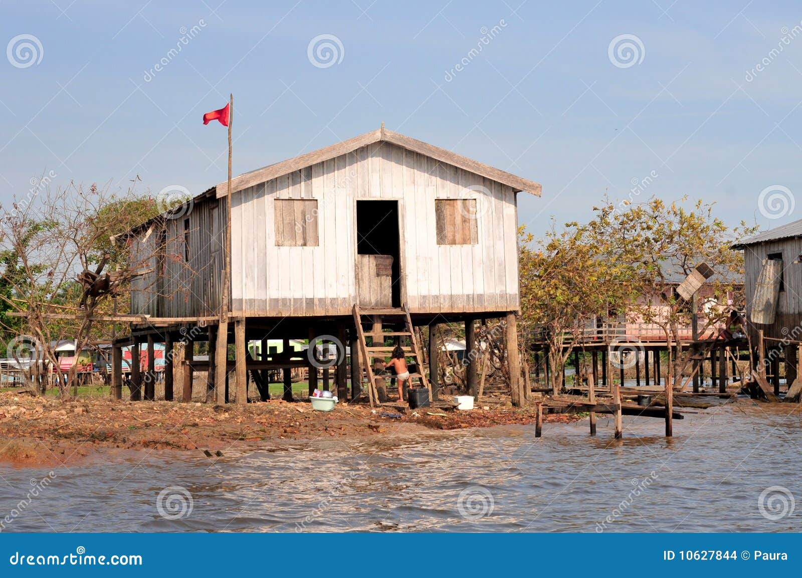 Amazon Jungle Typical Home stock photo. Image of hard - 10627844