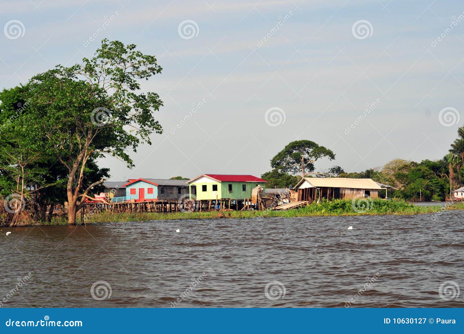 Amazon Jungle Typical Home stock image. Image of exotic - 10630127