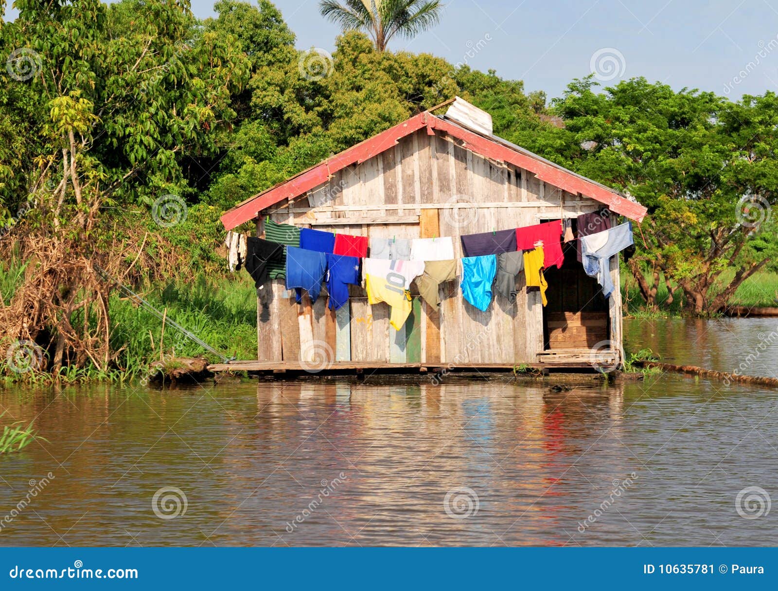 Amazon Jungle Typical Home stock image. Image of life - 10635781