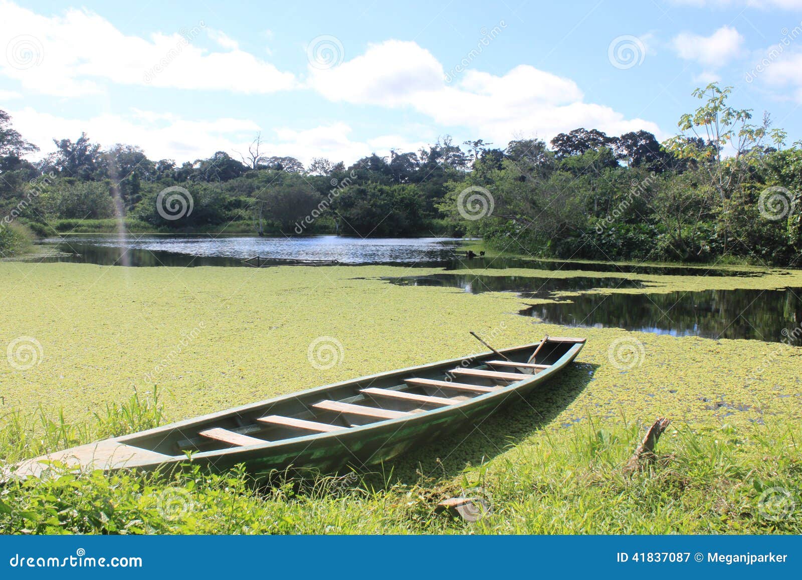 Amazon Lake stock image. Image of amazon, peaceful, lake - 41837087