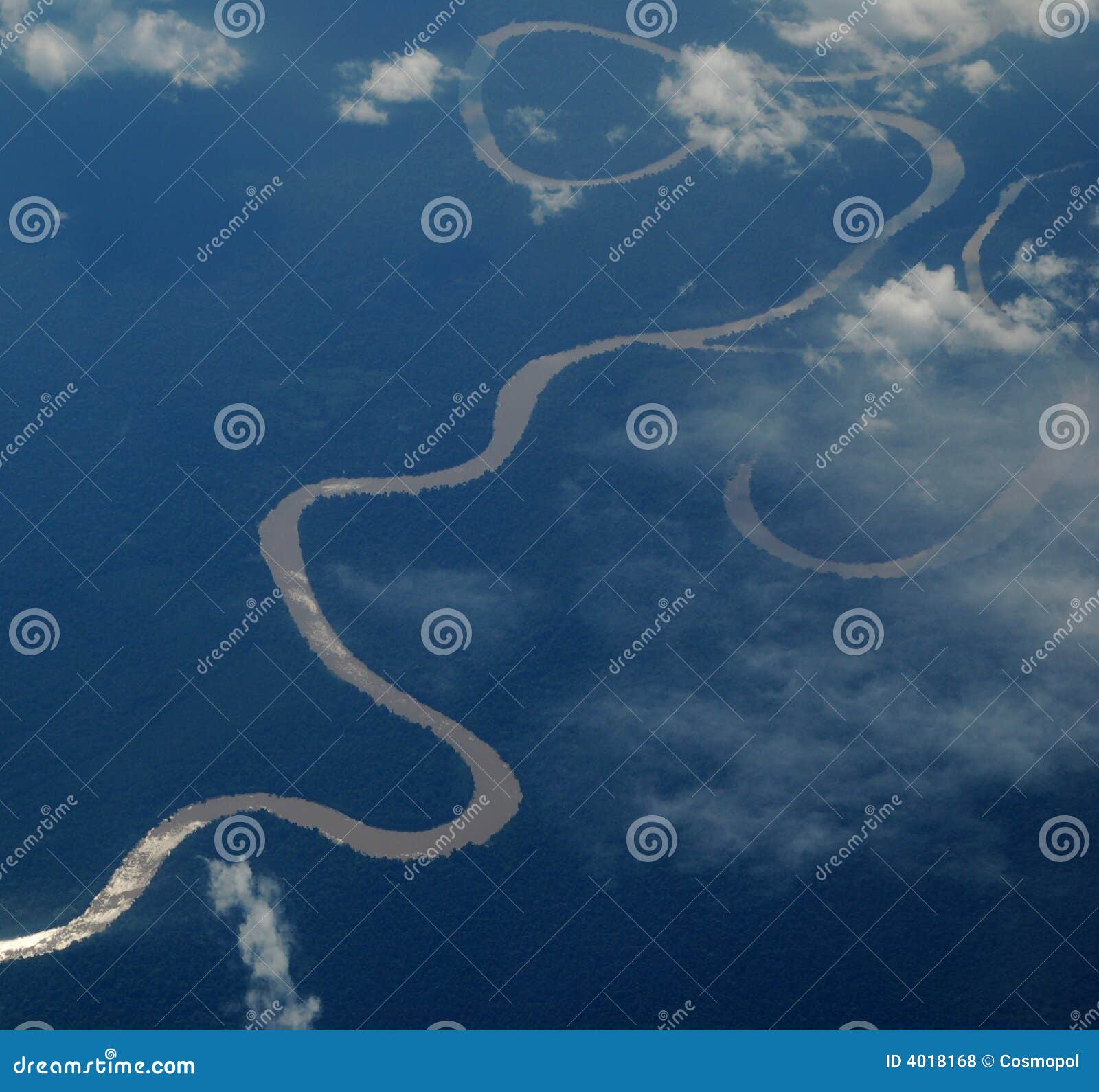 Amazon meandering stock photo. Image of south, landscape - 4018168