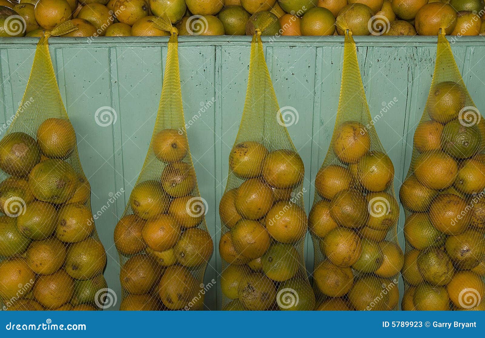 Amazon oranges stock image. Image of bags, amazon, brazil - 5789923