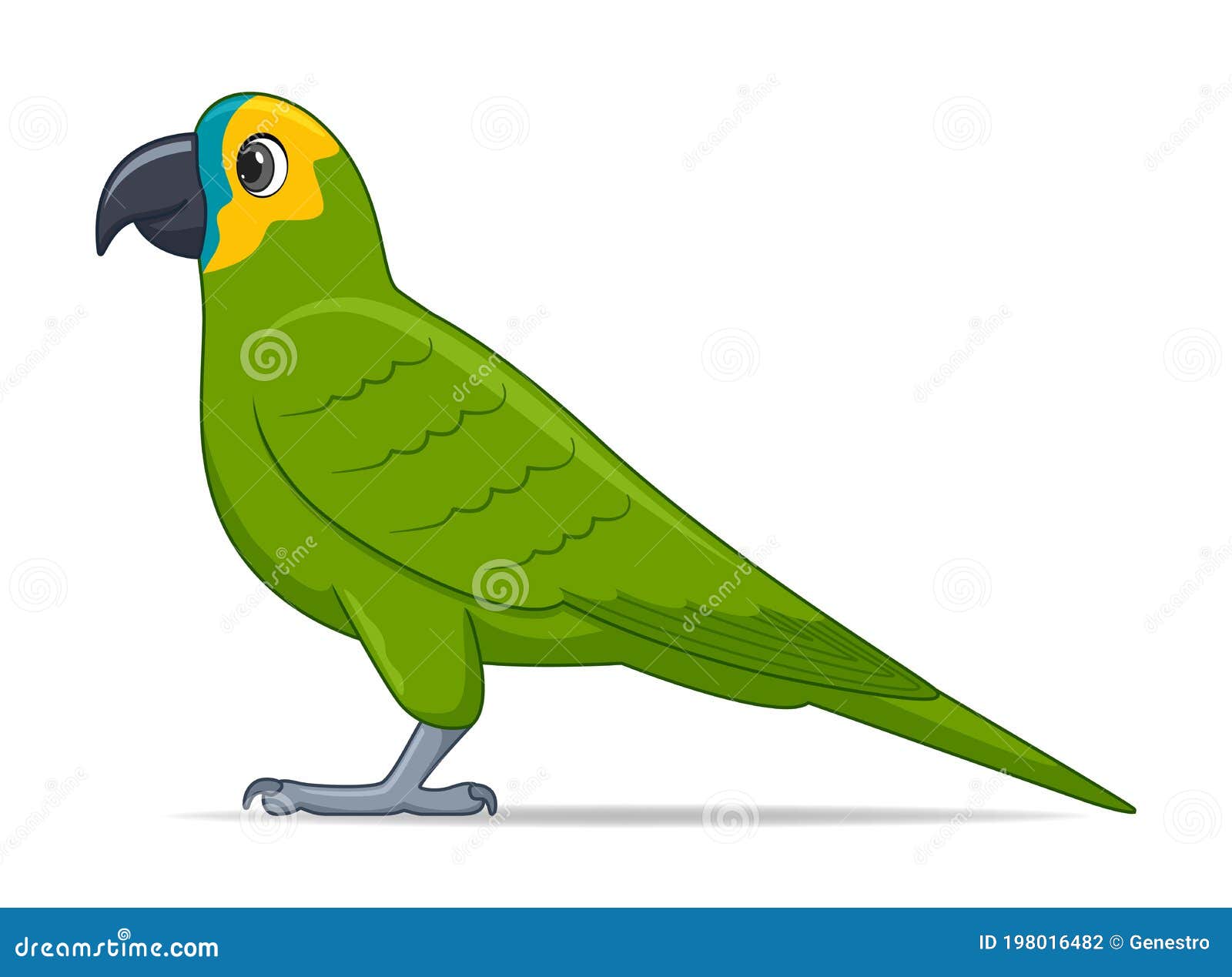Amazon Parrot Bird on a White Background Stock Vector - Illustration of ...