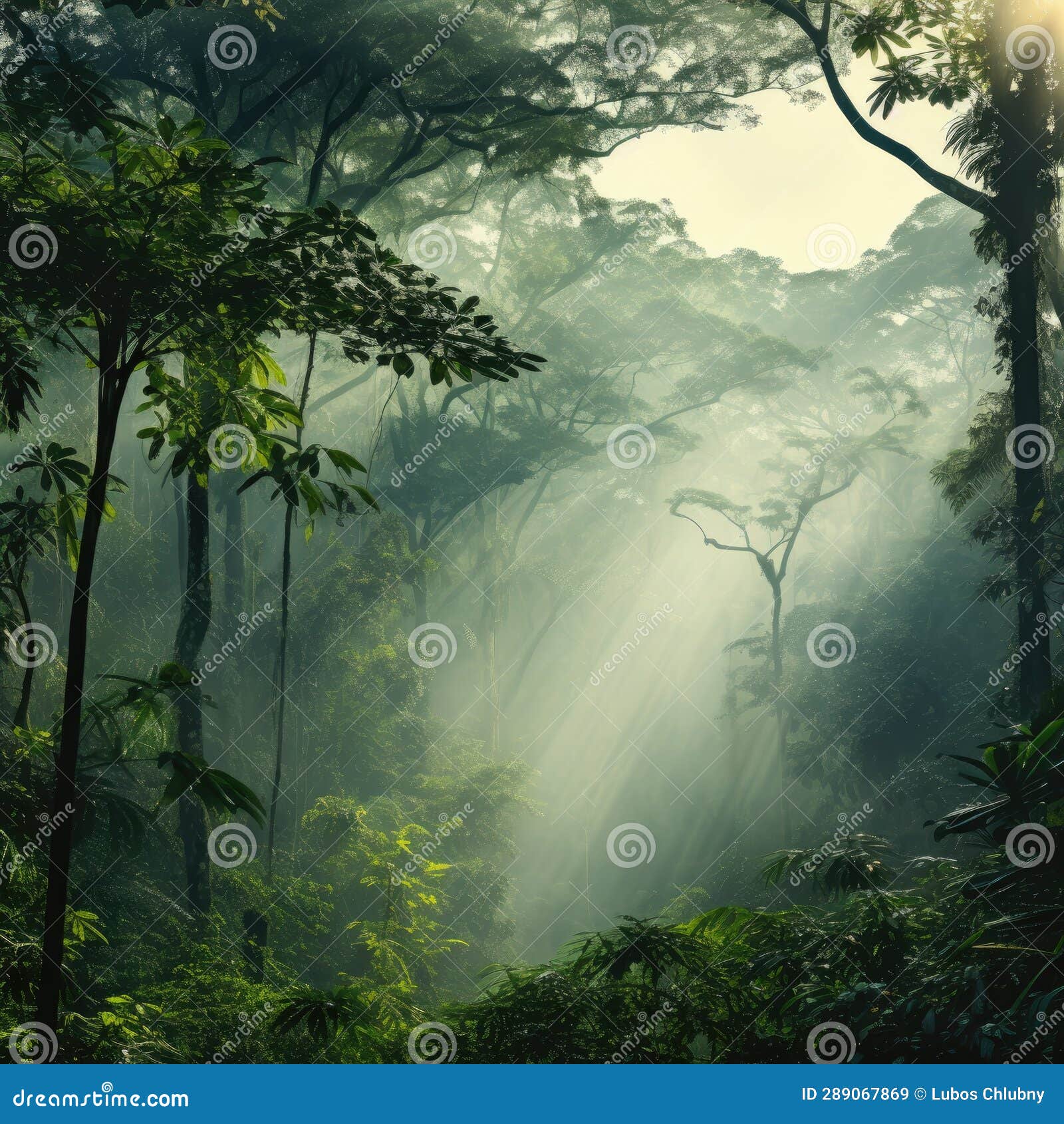 Amazon Rainforest in Mist in Morning Light Stock Illustration ...