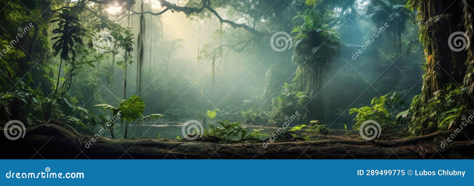 Amazon Rainforest in Mist in Morning Light Stock Illustration ...