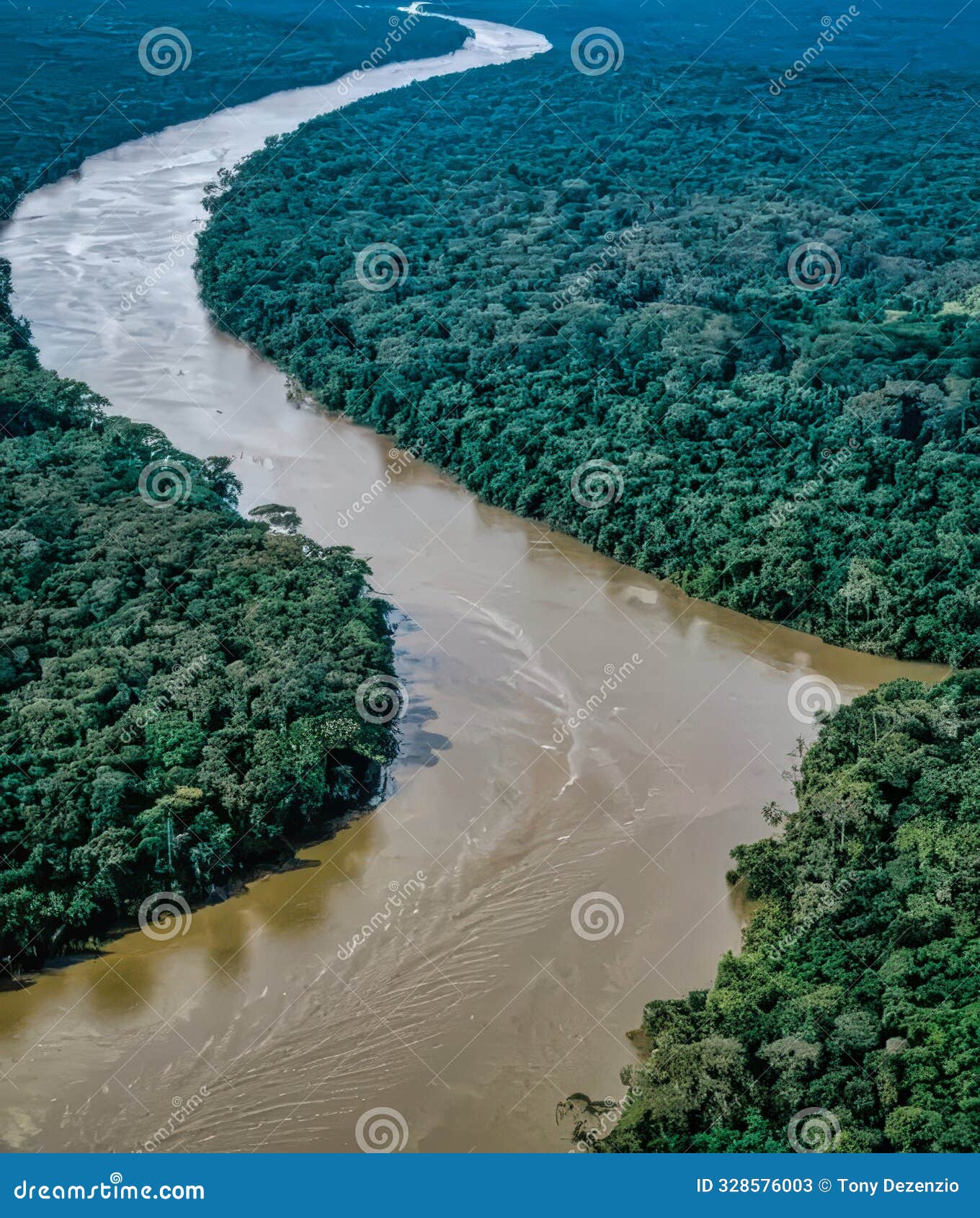 Amazon Rainforest Region stock illustration. Illustration of summer ...