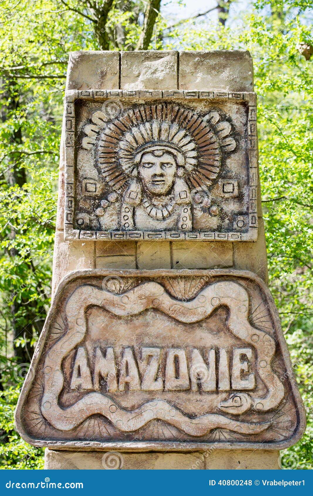 Amazon Rainforest Sign Stock Photography | CartoonDealer.com #40800248