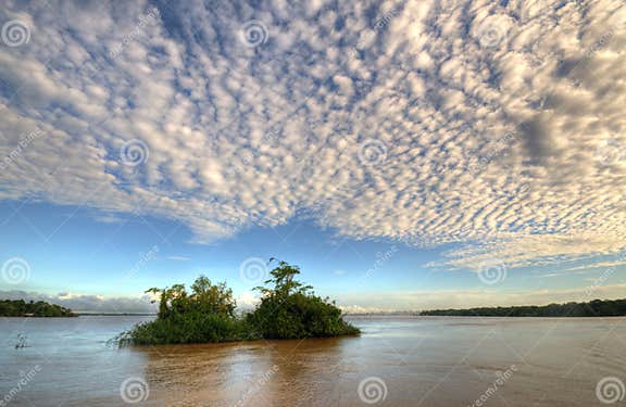 Amazon river stock photo. Image of amazonia, river, palms - 23972310