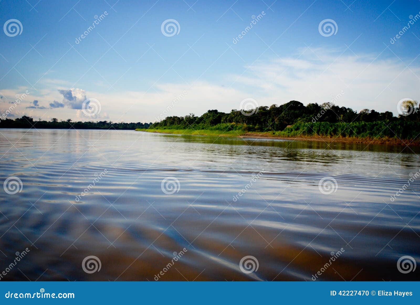 Amazon River stock photo. Image of beauty, south, location - 42227470