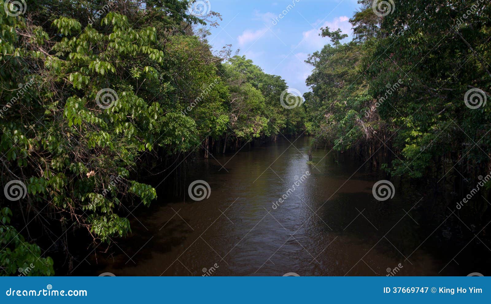 Amazon River stock image. Image of brazil, river, adventure - 37669747
