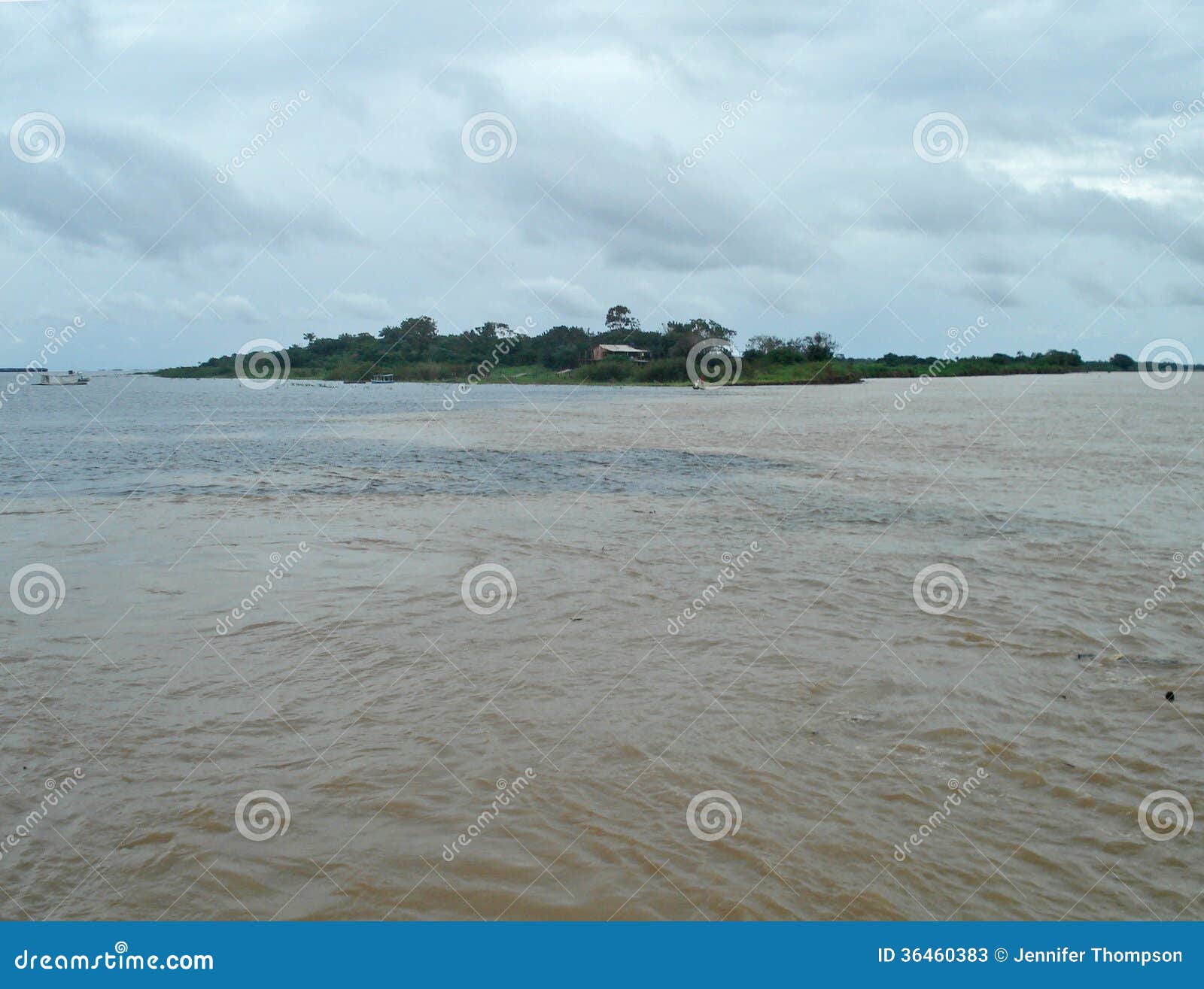 Amazon River stock image. Image of rivers, confluence - 36460383