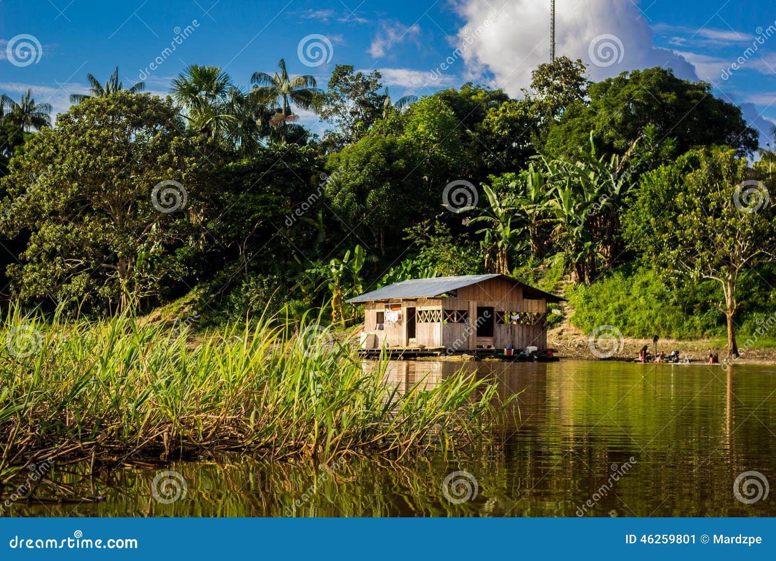 Amazon River Jungle House Boat Stock Image - Image of boat, lodge: 46259801