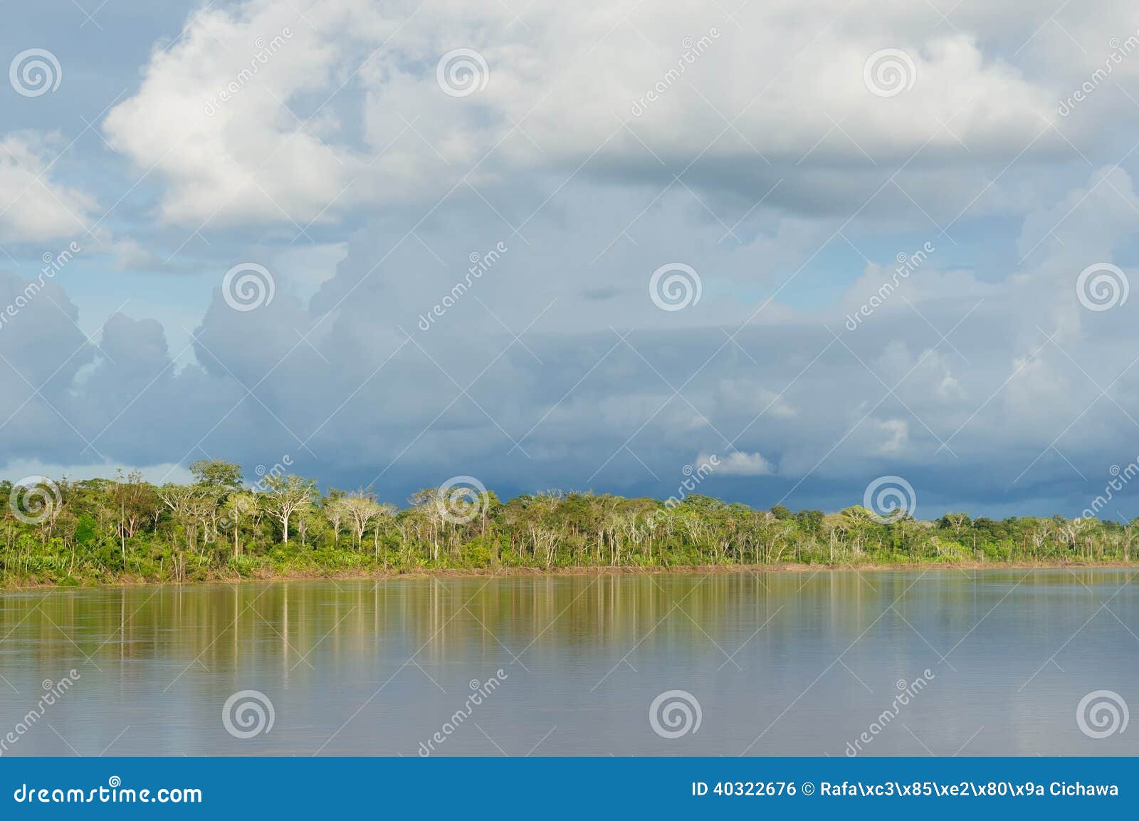 Amazon River Landscape in Brazil Stock Photo - Image of stump ...