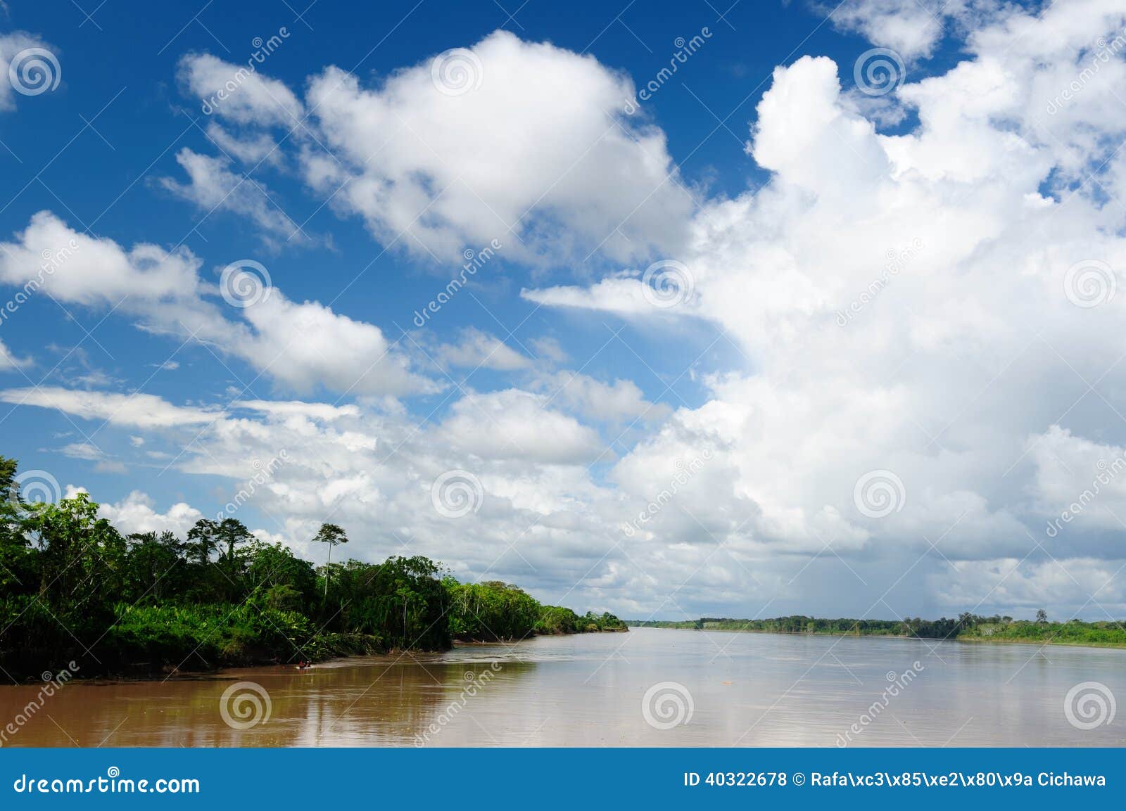 Amazon River Landscape in Brazil Stock Photo - Image of brazil ...