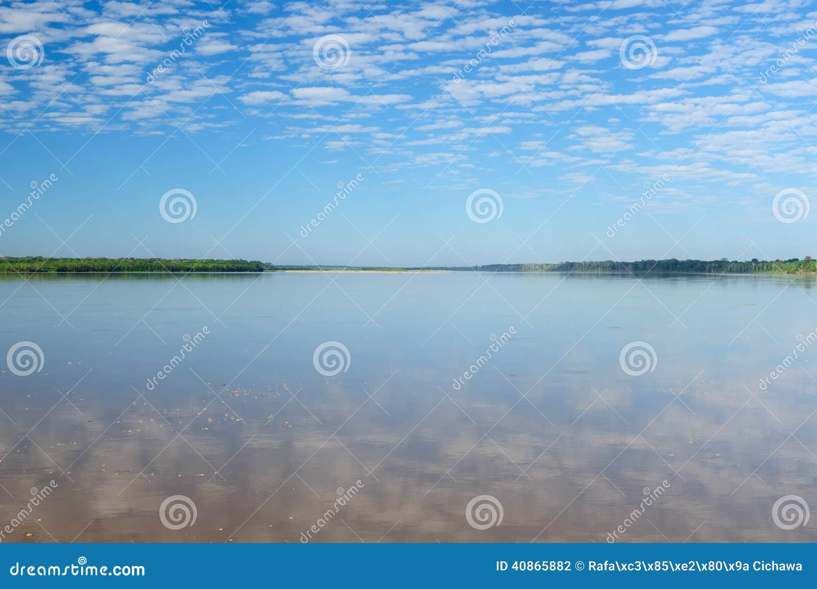 Amazon River Landscape in Brazil Stock Photo - Image of stump, maranon ...
