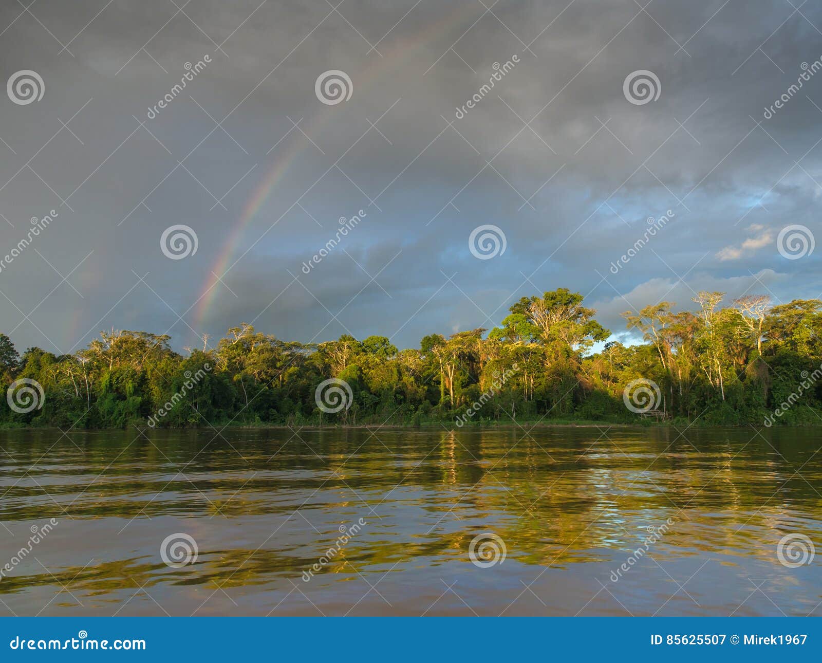 Amazon River stock image. Image of coast, egzotica, admire - 85625507