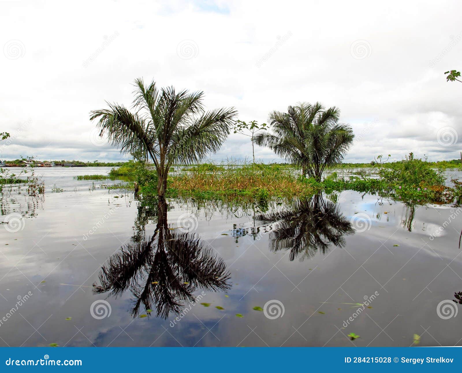 The Amazon River in Peru and Brazil, South America Stock Photo - Image ...