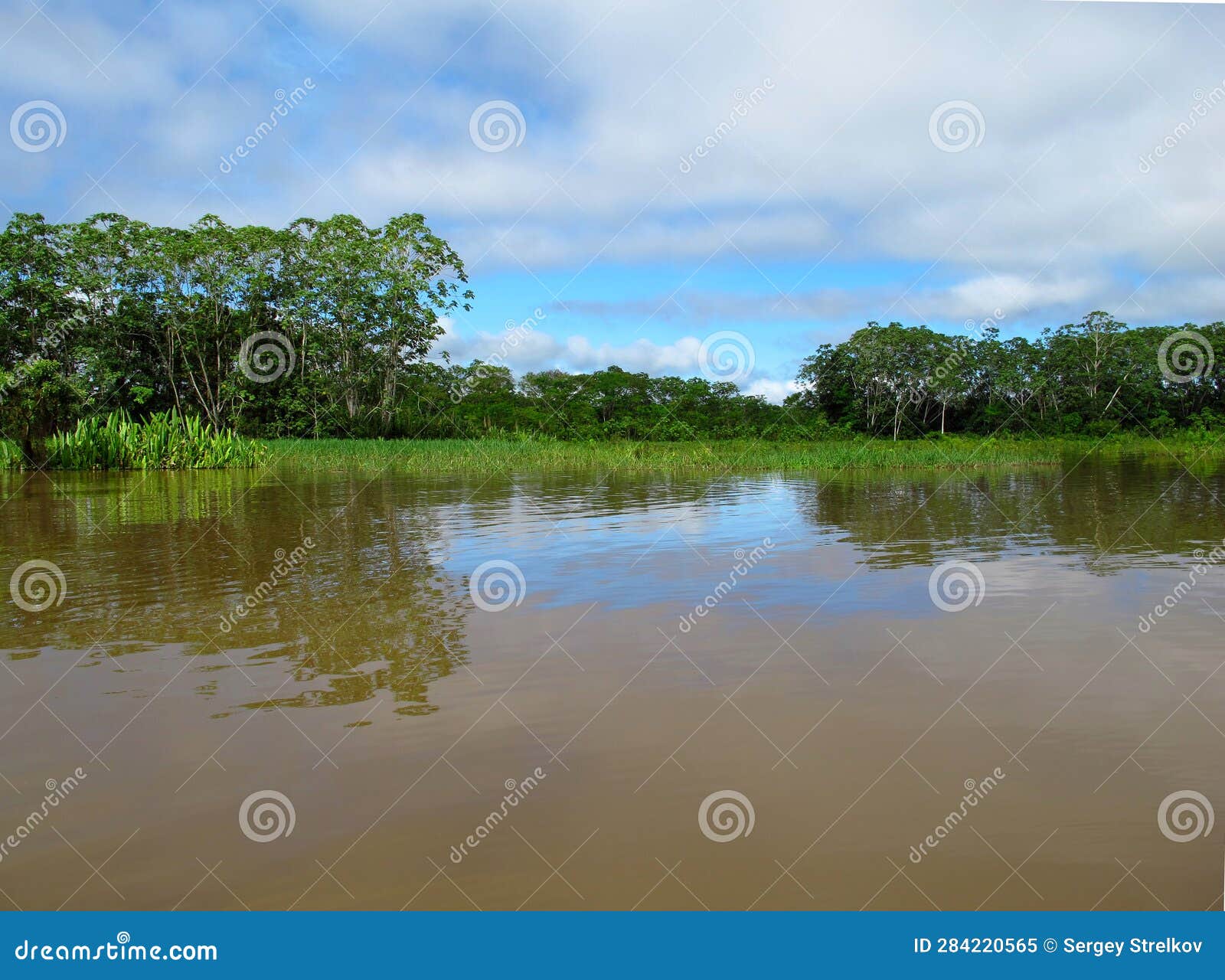 The Amazon River in Peru, South America Stock Image - Image of ...