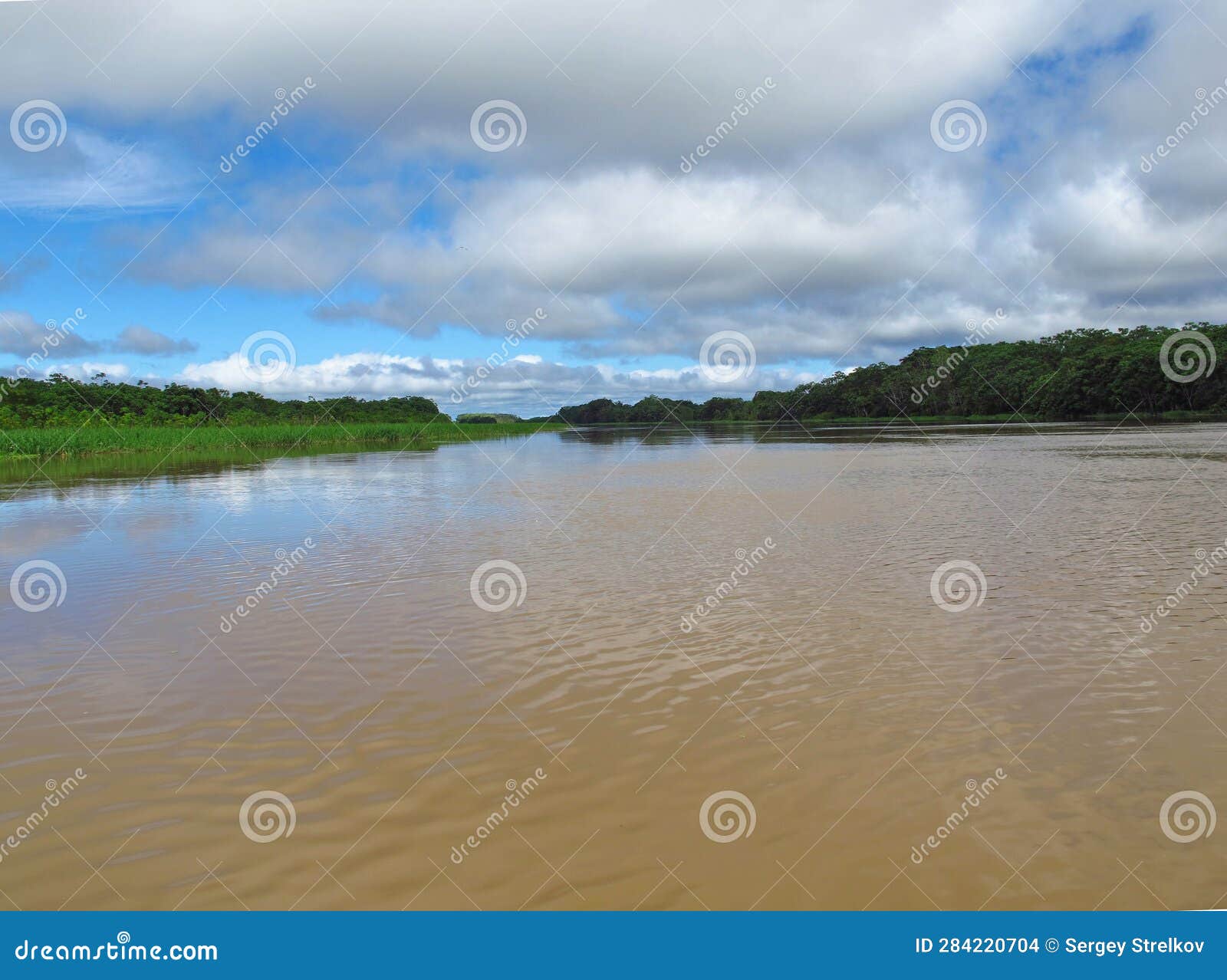 The Amazon River in Peru, South America Stock Photo - Image of primary ...