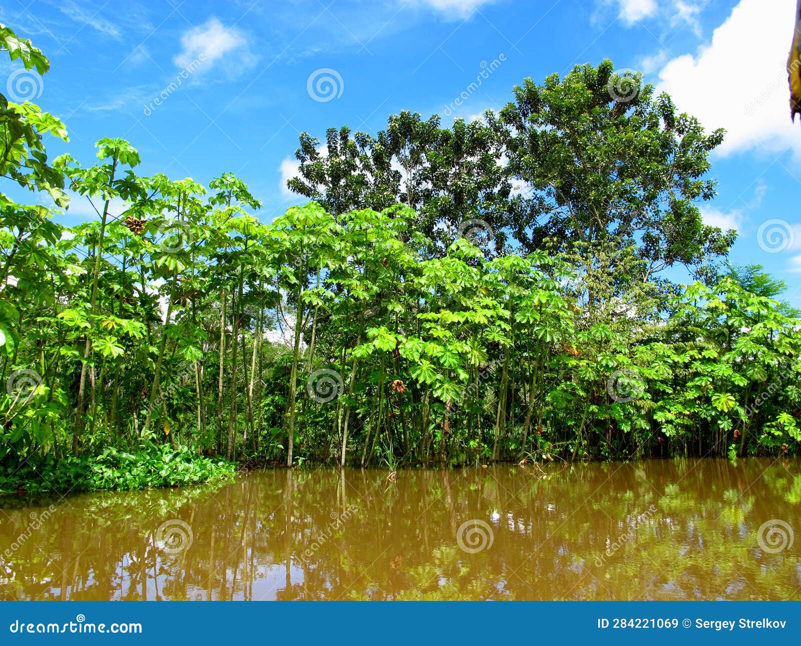 The Amazon River in Peru, South America Stock Image - Image of nature ...