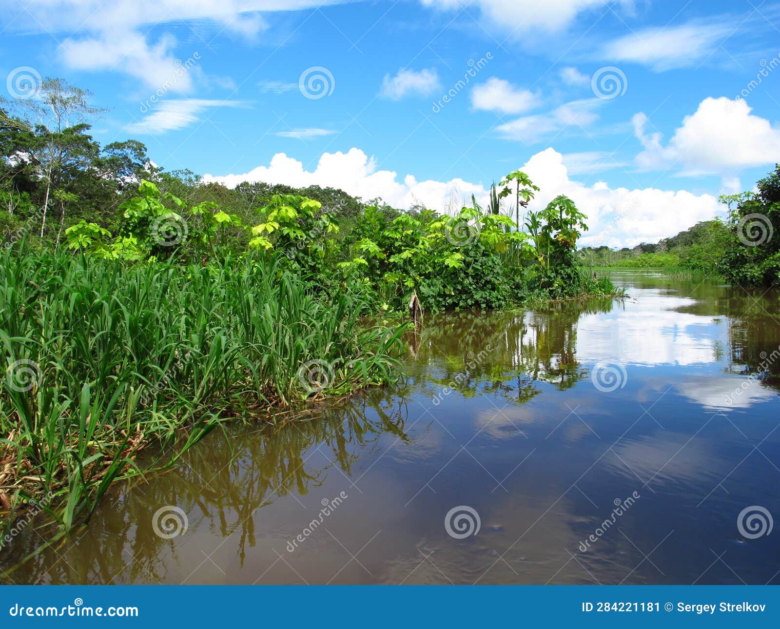 The Amazon River in Peru, South America Stock Image - Image of america ...
