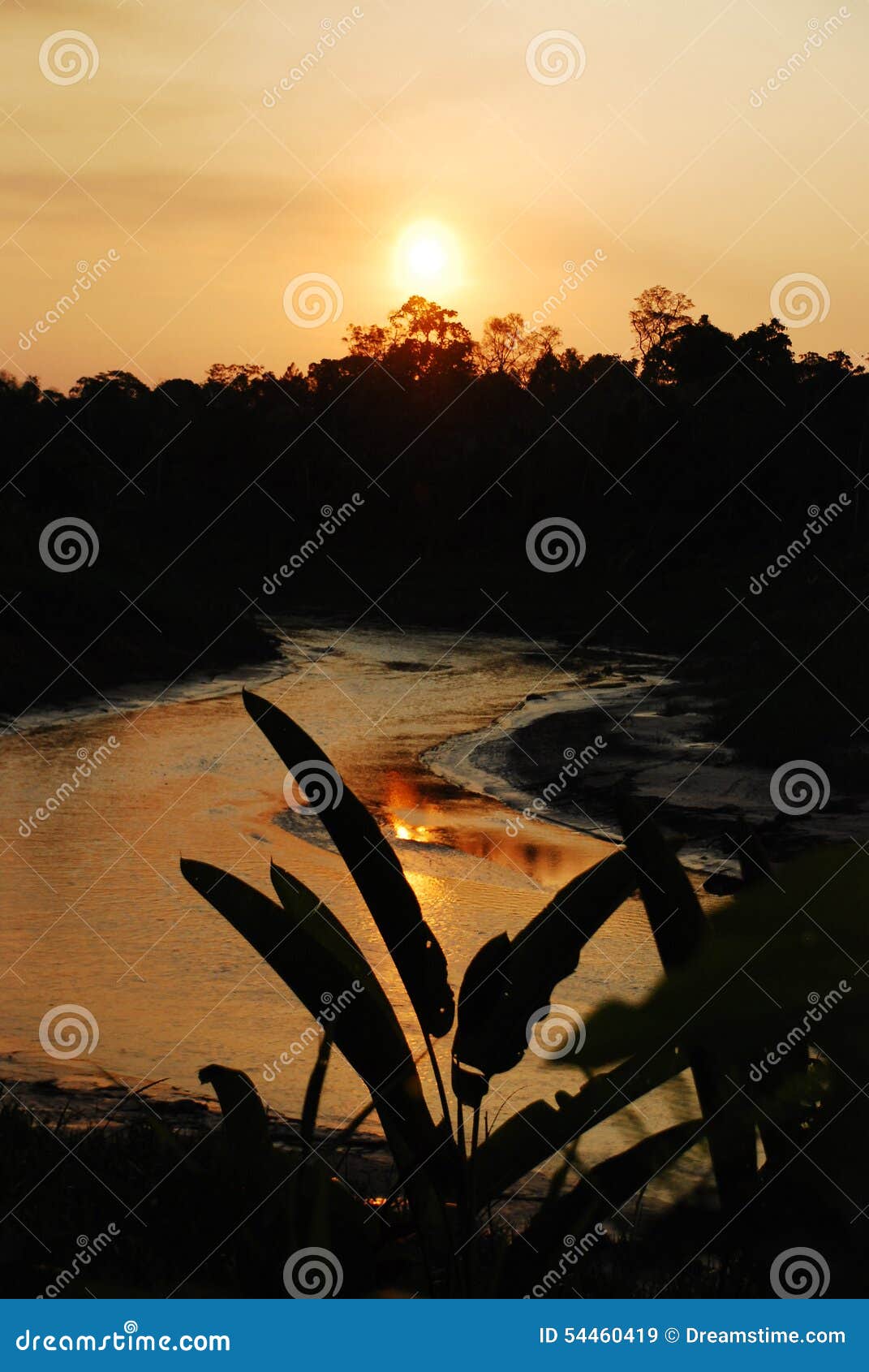 Amazon river sunset stock image. Image of view, riverbanks - 54460419