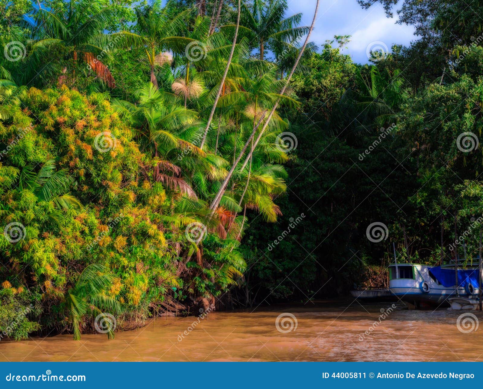 Amazon river stock image. Image of vegetation, exotic - 44005811