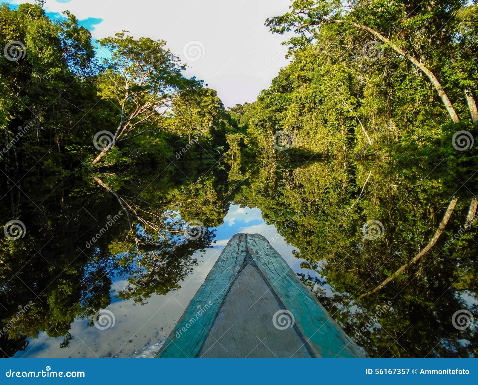 Amazon river stock image. Image of peru, brazil, amazon - 56167357