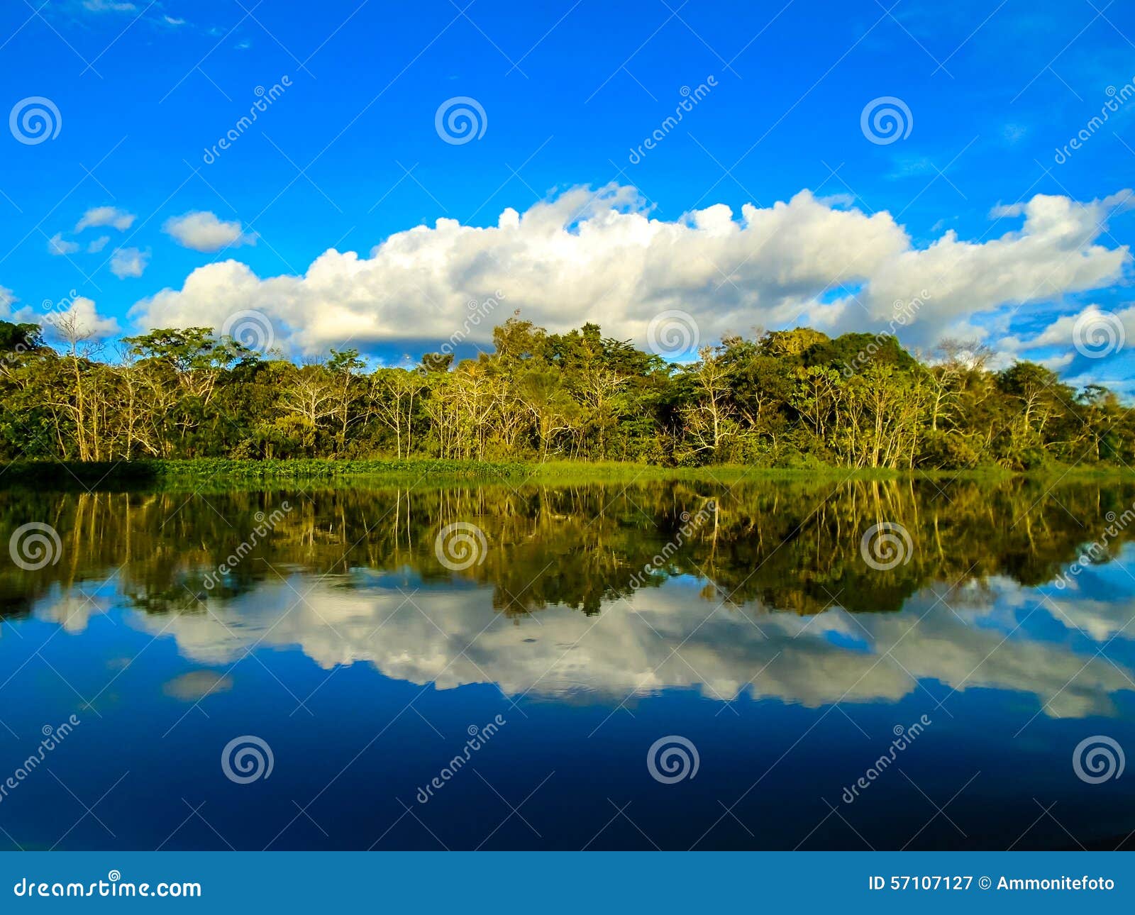 Amazon river stock image. Image of nature, natural, america - 57107127