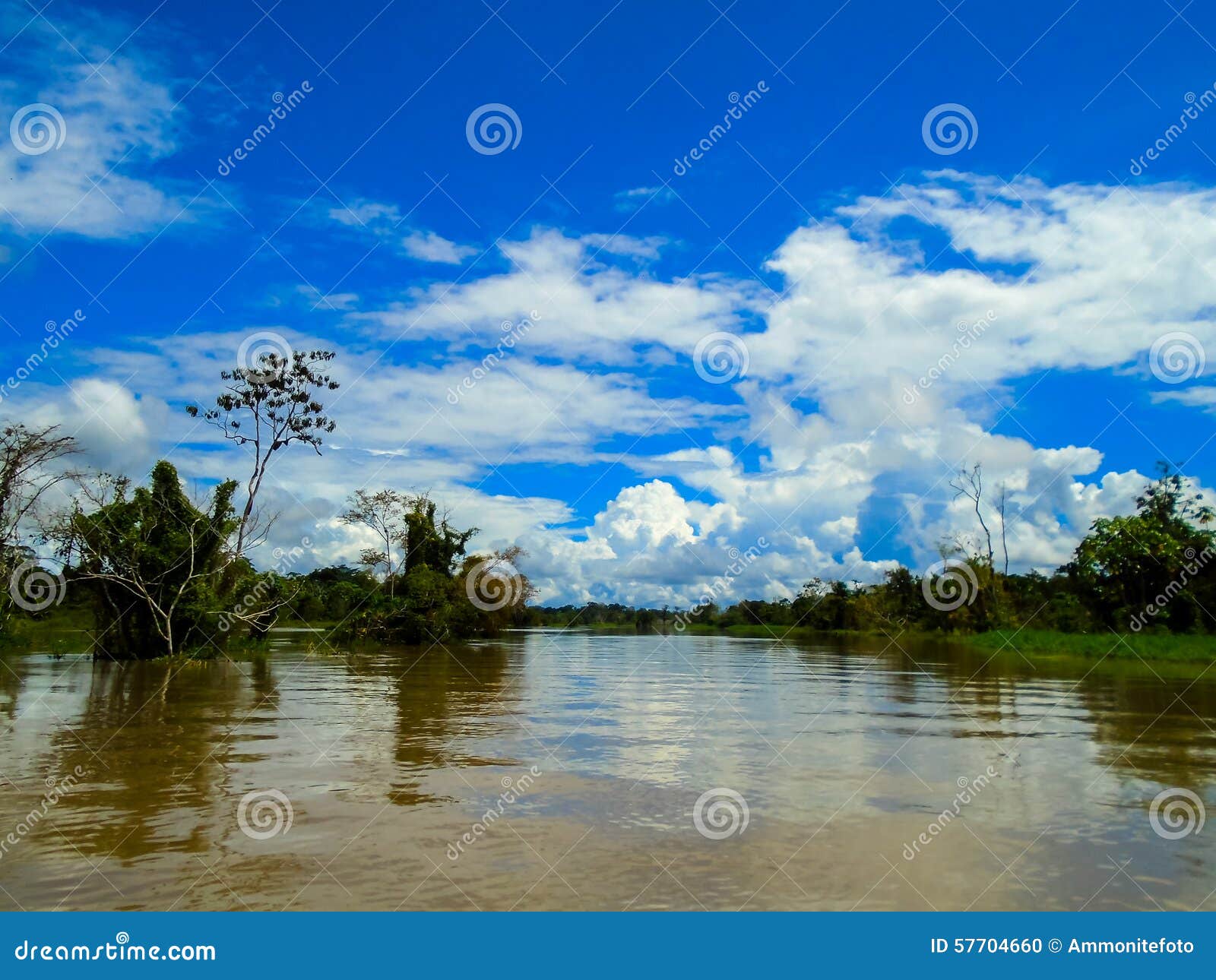 Amazon river stock photo. Image of travel, amazonian - 57704660