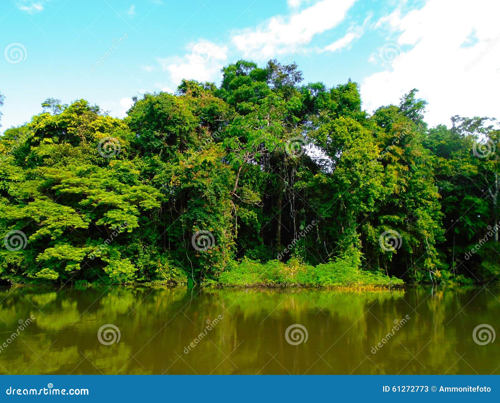 Amazon river stock image. Image of scenery, river, brazil - 61272773