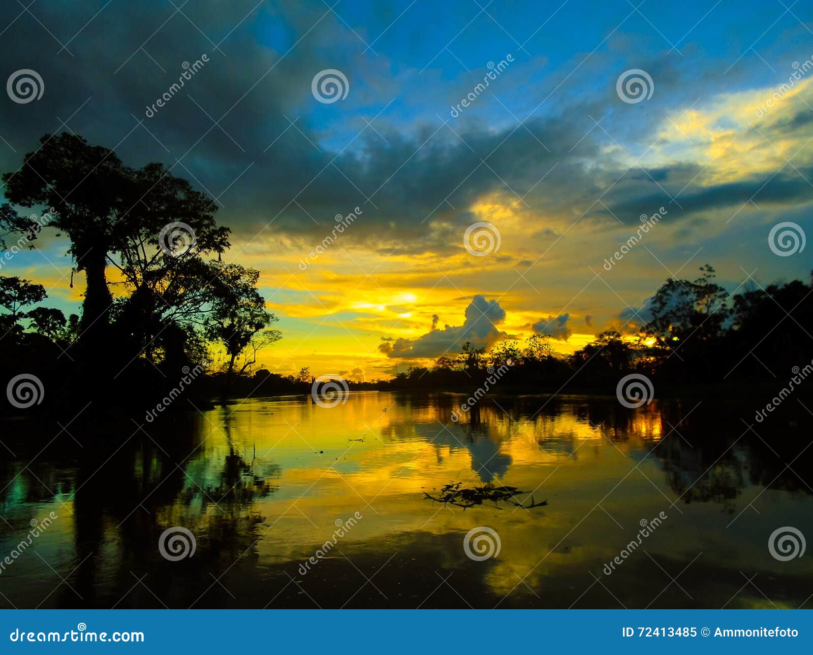 Amazon river stock image. Image of green, amazon, biodiversity - 72413485