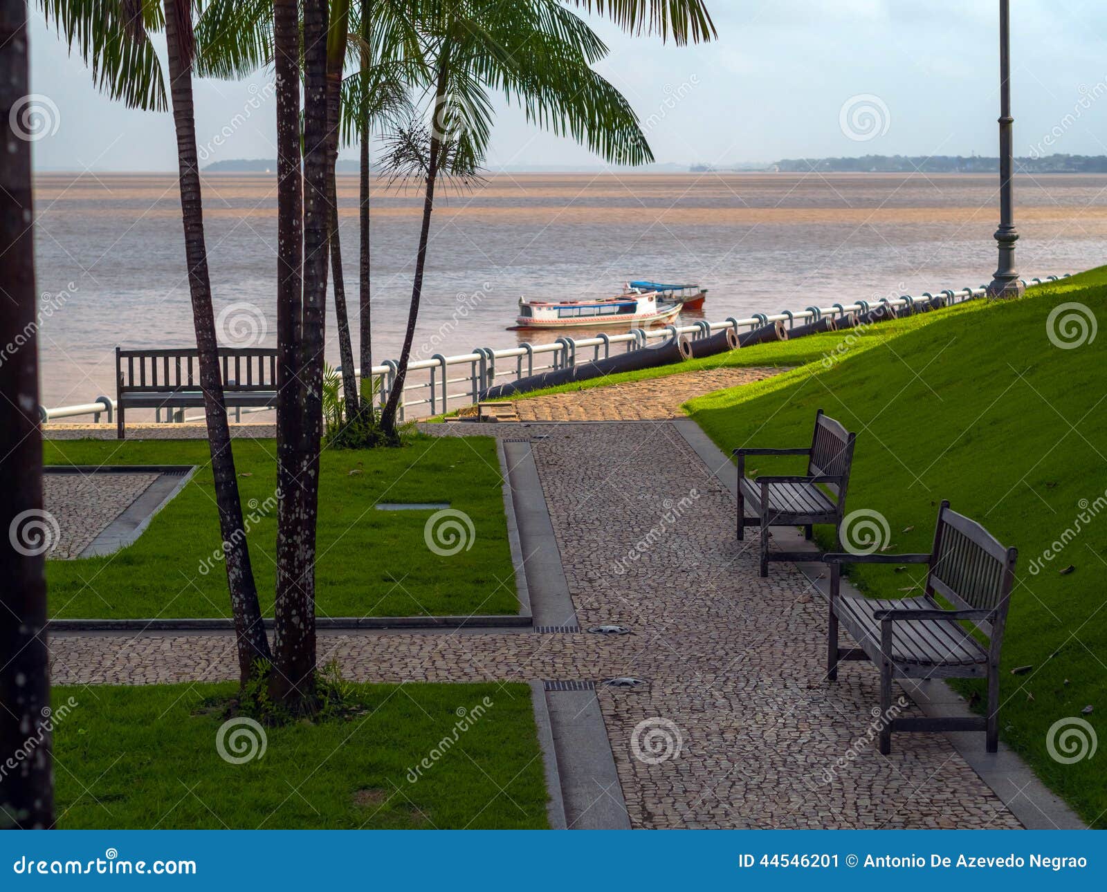 Amazon Square stock image. Image of eleven, food, brazil - 44546201