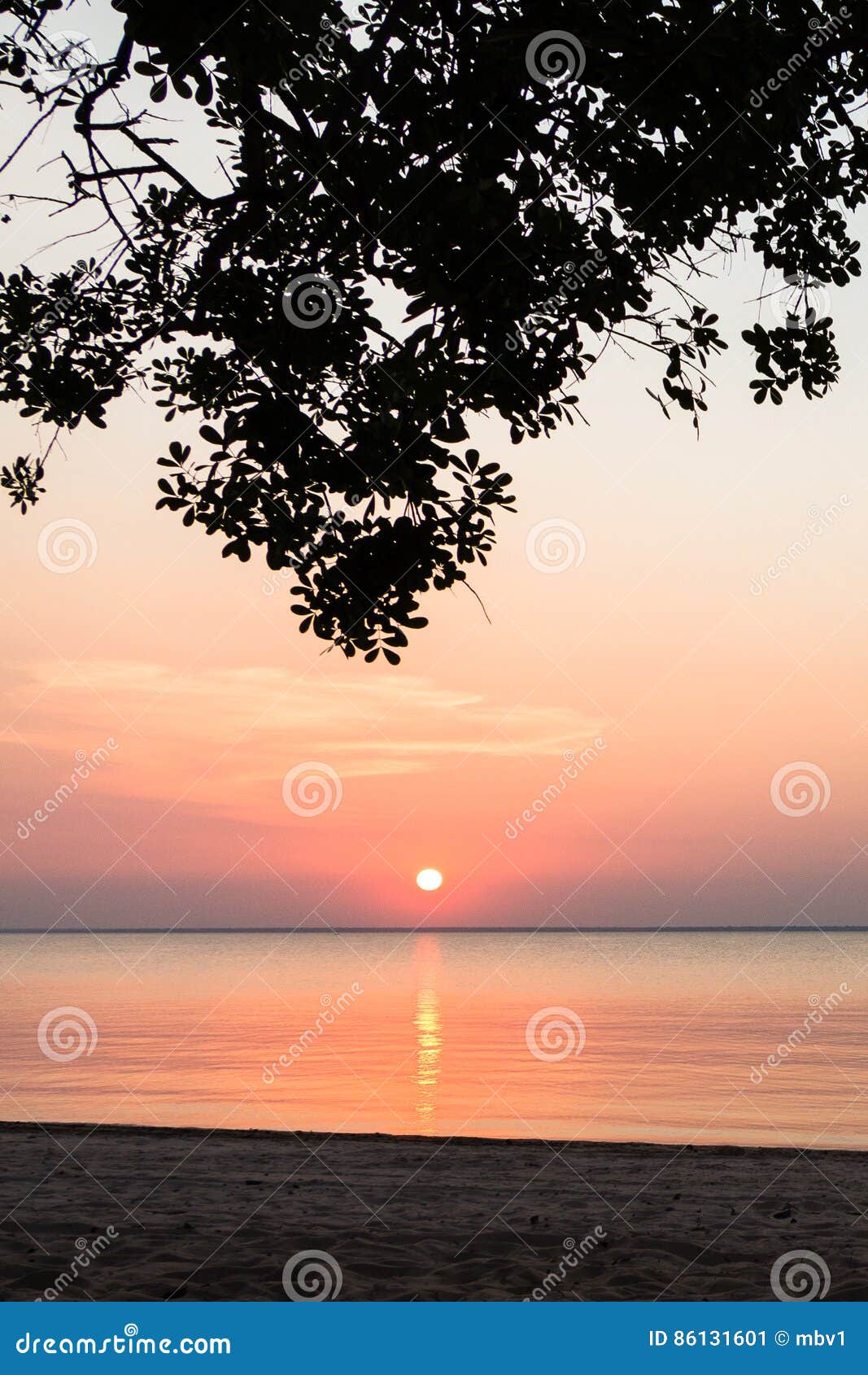 Amazon Sunset stock image. Image of afternoon, beach - 86131601