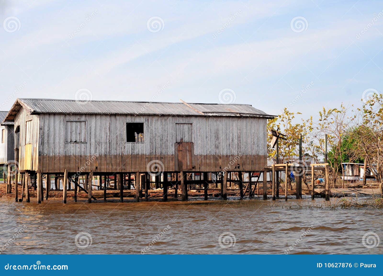 Amazon Typical Home stock photo. Image of forest, lifeless - 10627876
