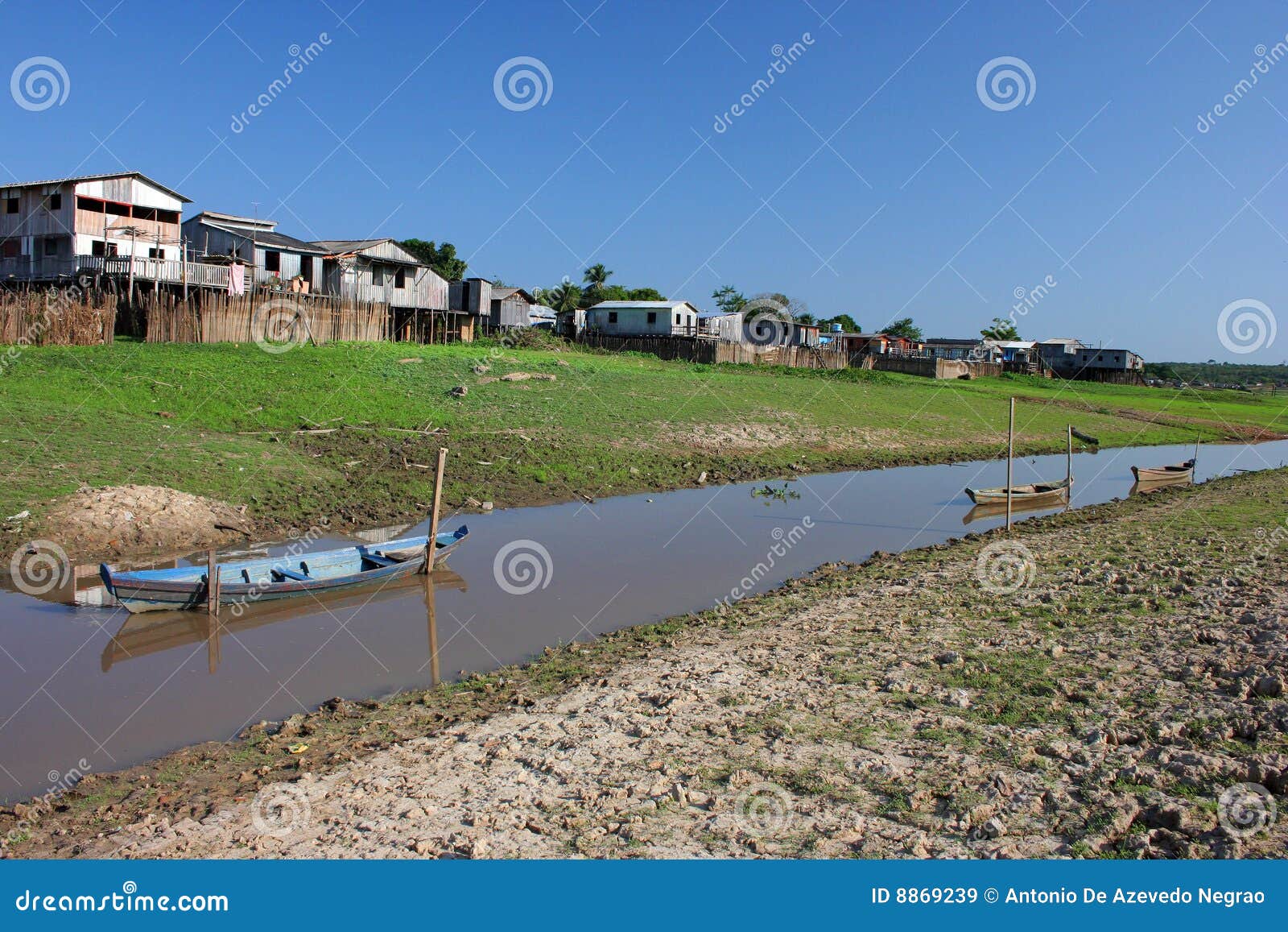 Amazon village stock image. Image of coastal, homes, brazil - 8869239