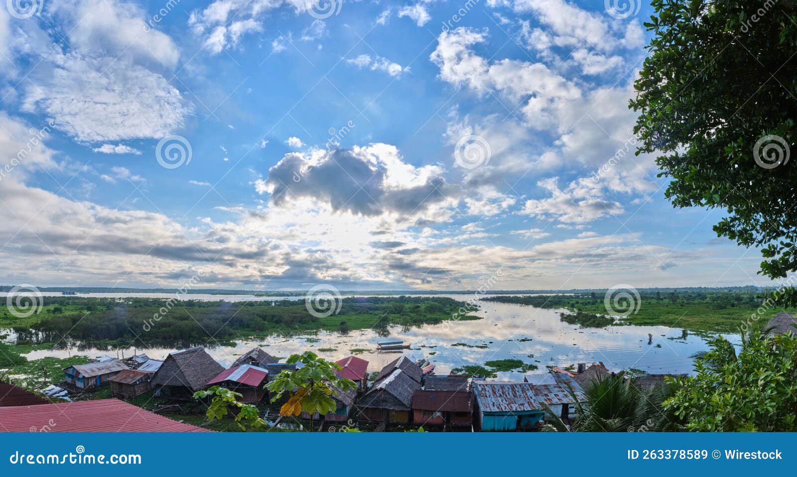 Amazona s river flood stock image. Image of travel, flood - 263378589