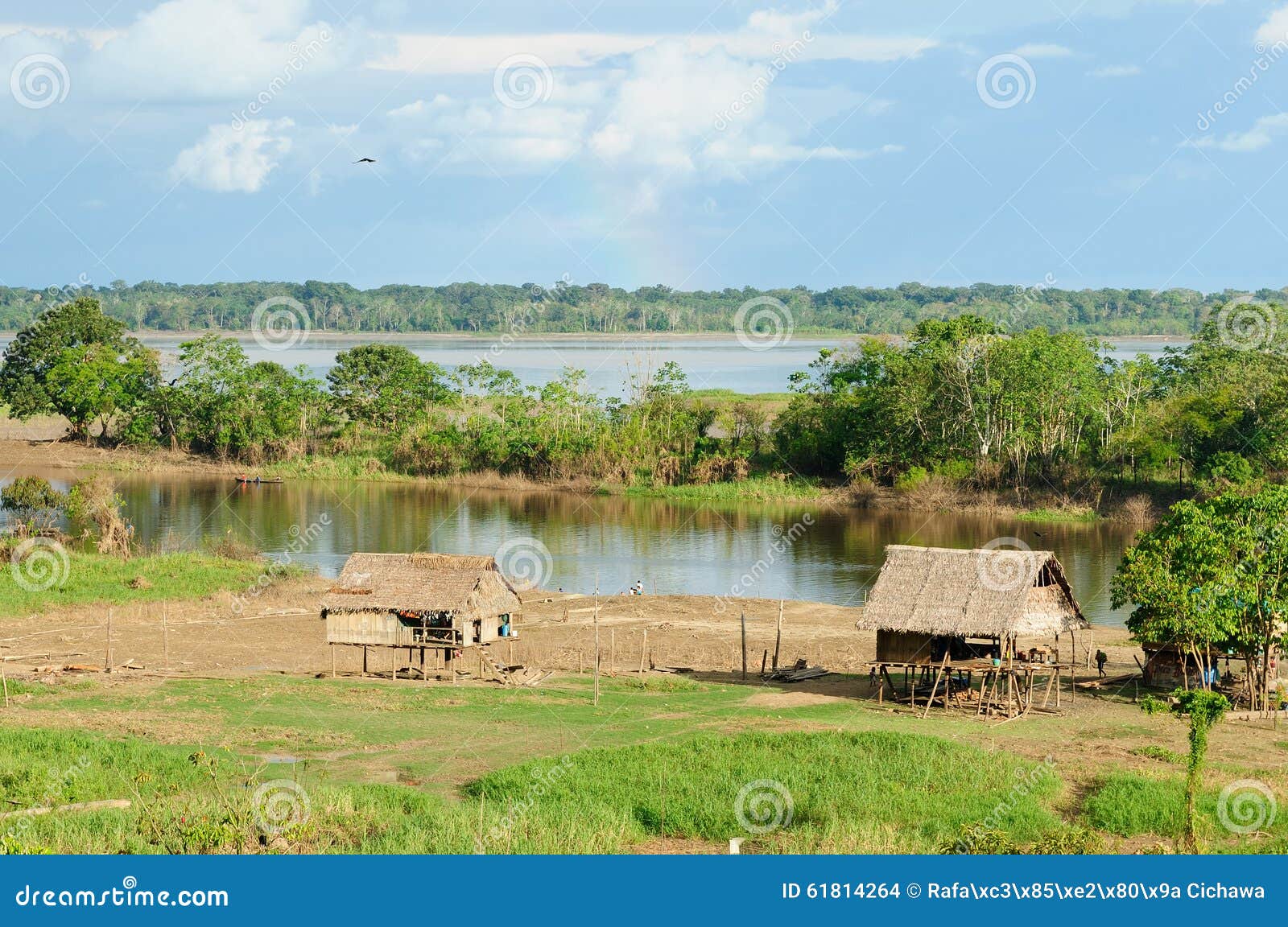 Amazonas peruano foto de archivo. Imagen de tribus, aislamiento - 61814264