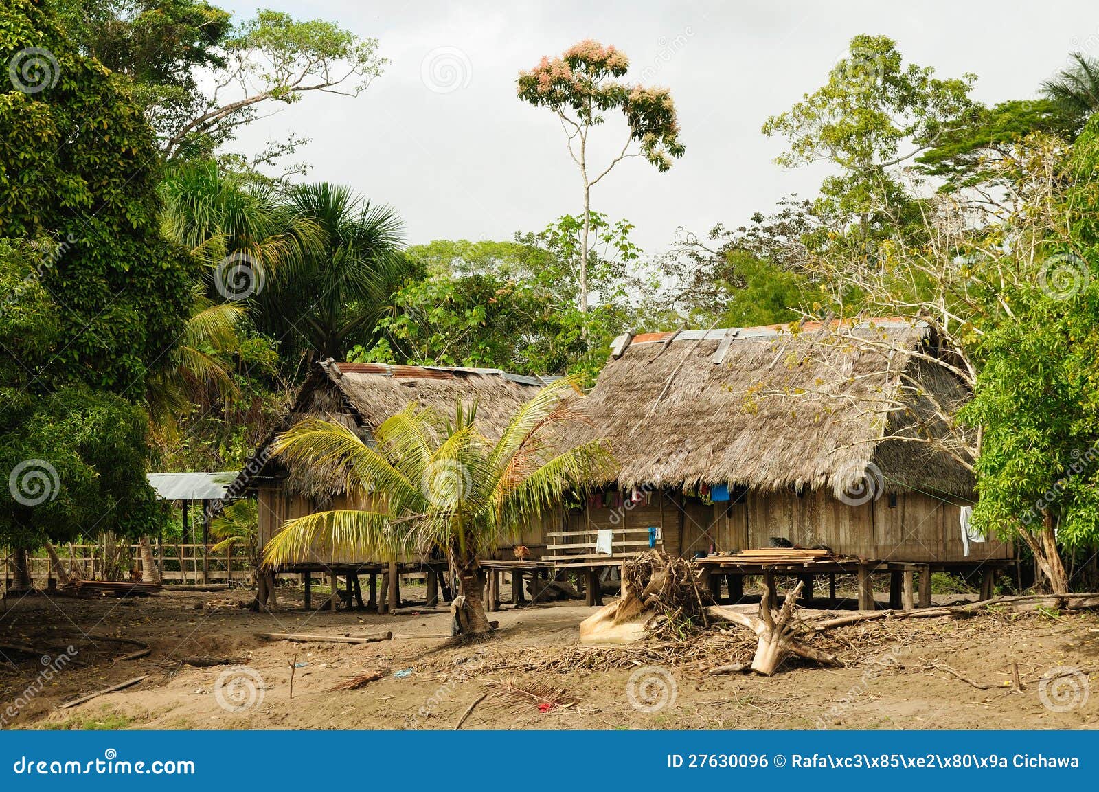 Amazonas Peruano, Establecimiento Indio Foto de archivo - Imagen de ...
