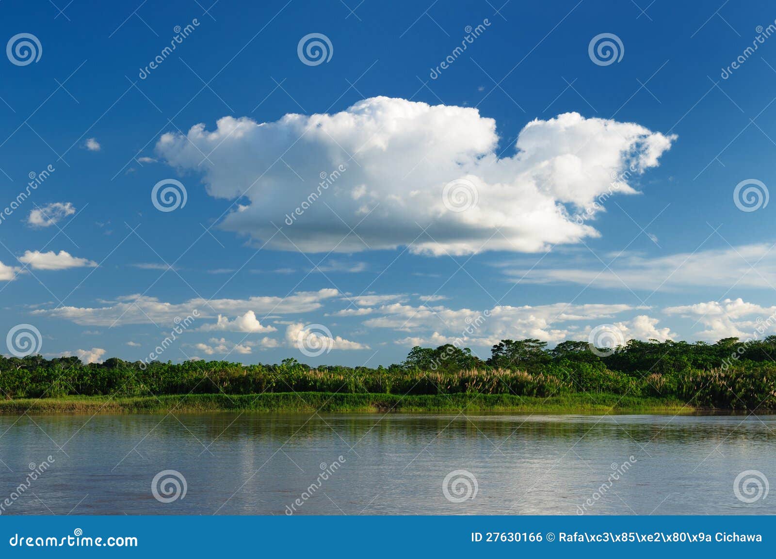 Amazonas Peruano, Paisagem Do Rio De Amazon Foto de Stock - Imagem de ...
