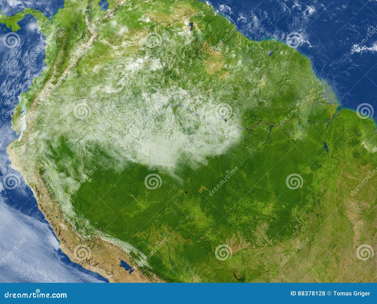 Amazonas-Regenwald Auf Planet Erde Stock Abbildung - Illustration von ...