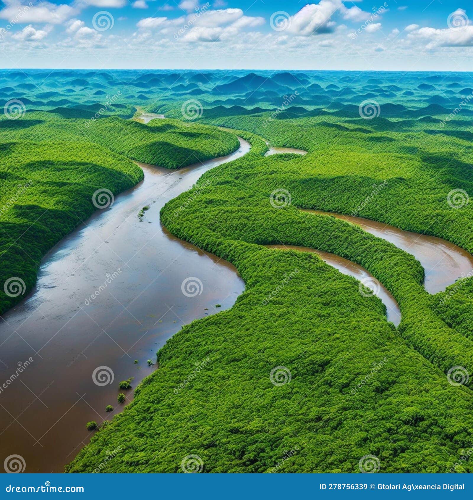 Amazon Rainforest. Aerial View of the Amazon Rainforest with a River ...