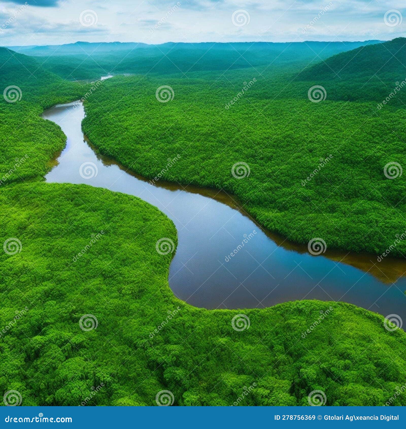 Amazon Rainforest. Aerial View of the Amazon Rainforest with a River ...