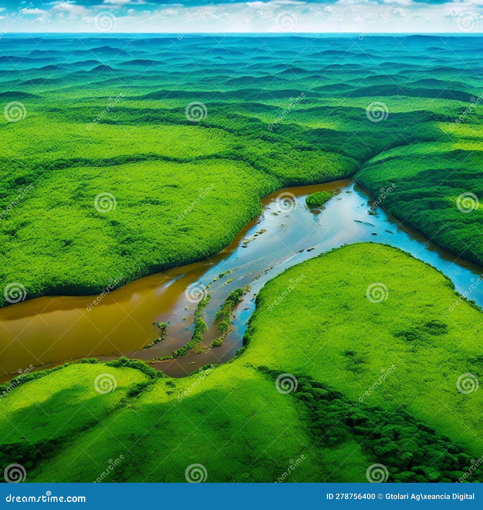 Amazon Rainforest. Aerial View of the Amazon Rainforest with a River ...