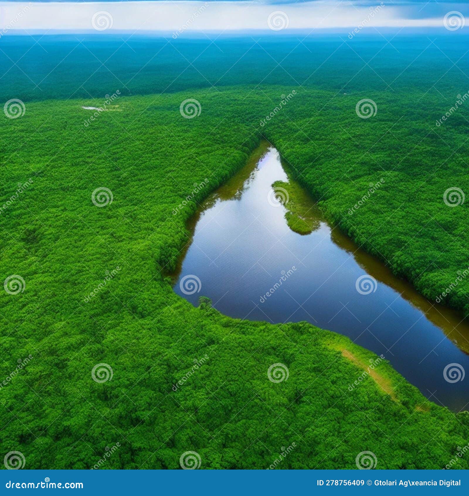 Amazon Rainforest. Aerial View of the Amazon Rainforest with a River ...