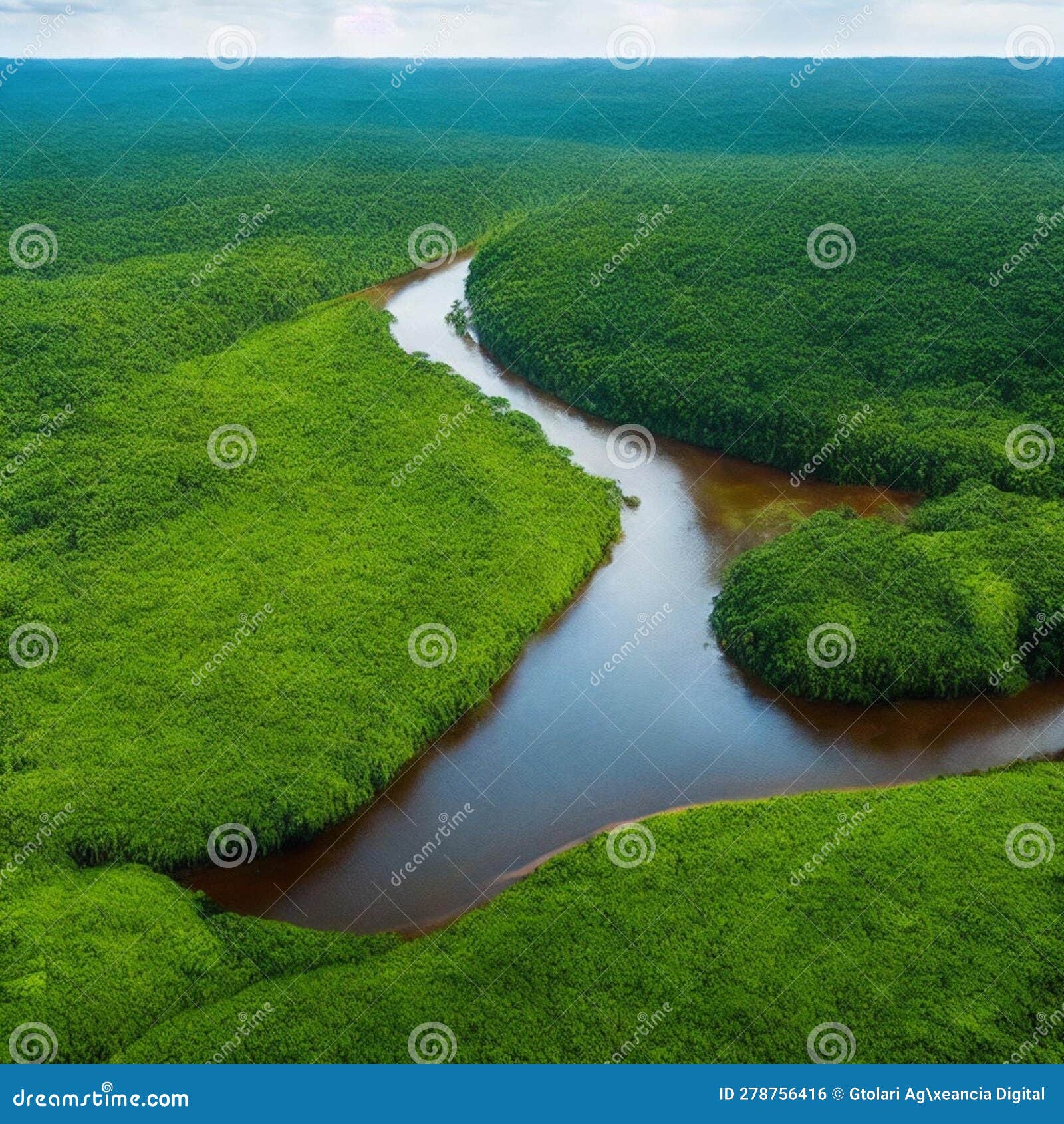Amazon Rainforest. Aerial View of the Amazon Rainforest with a River ...