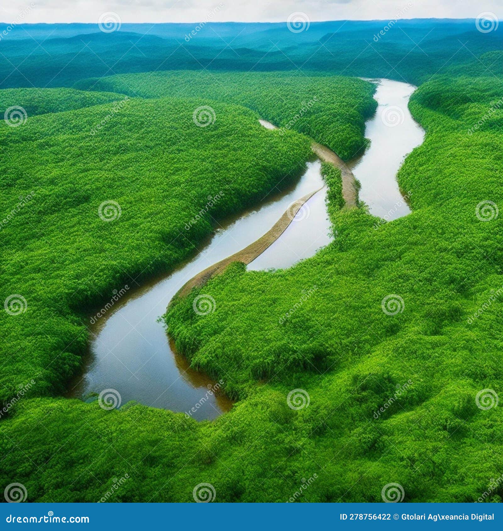 Amazon Rainforest. Aerial View of the Amazon Rainforest with a River ...