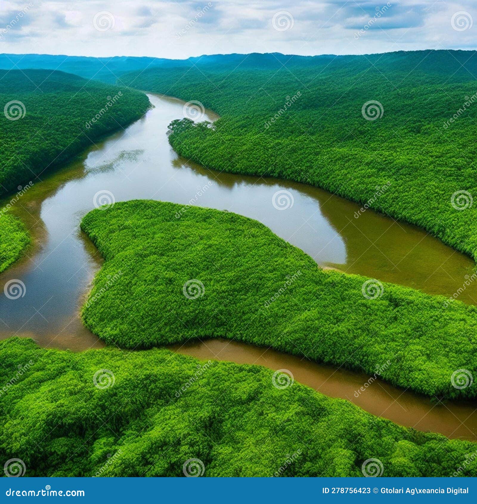 Amazon Rainforest. Aerial View of the Amazon Rainforest with a River ...