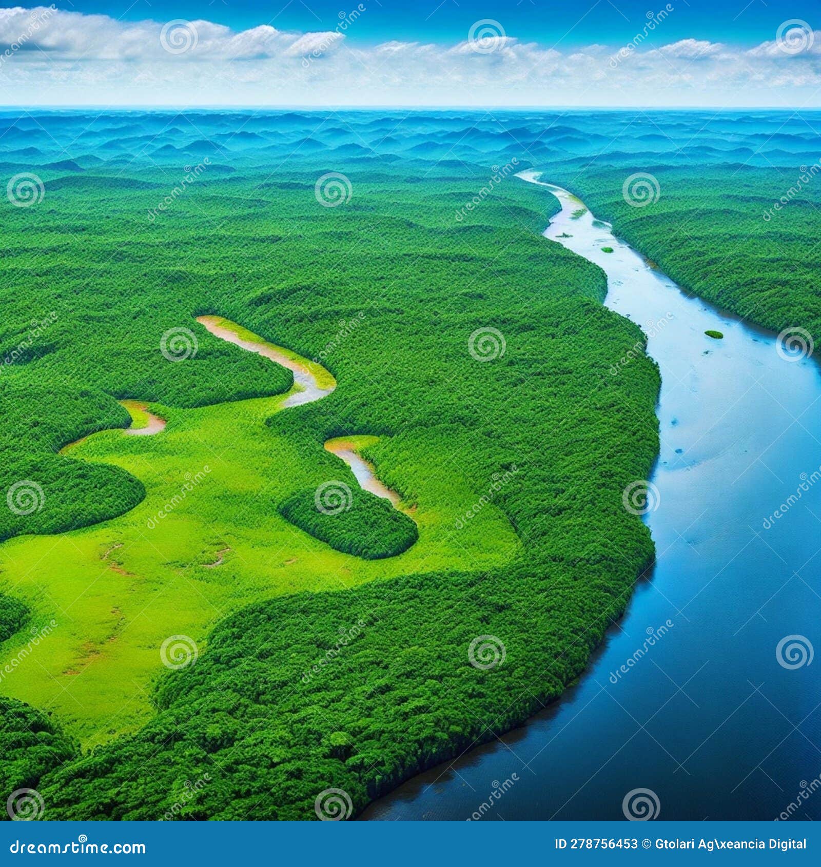 Amazon Rainforest. Aerial View of the Amazon Rainforest with a River ...